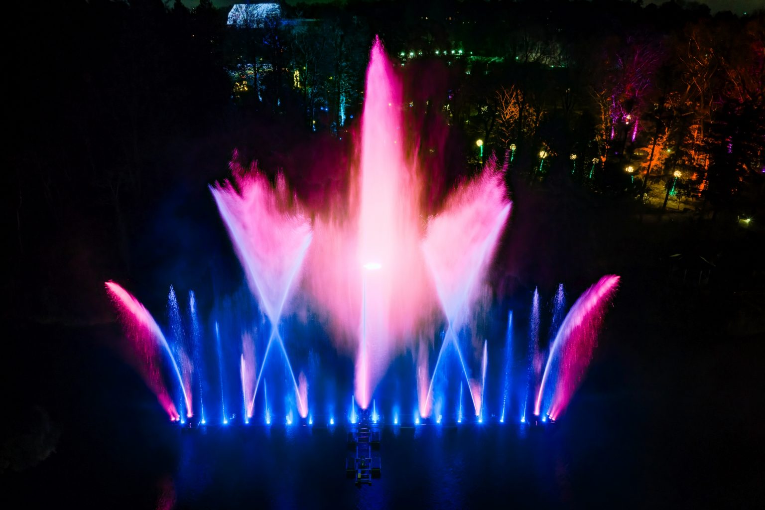 Christmas Garden Berlin: Winterzauber in funkelnden Lichtern ...