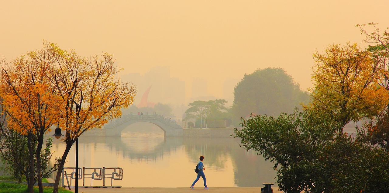 Neues wagen: Warum kleine Schritte dein Leben mehr verändern als große Vorsätze | berlinerin.online